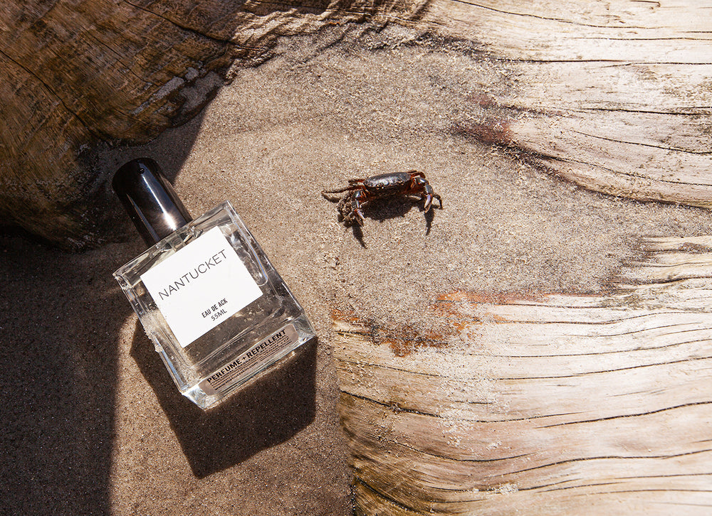 the BUZZ- Beauty Meets Bug Spray